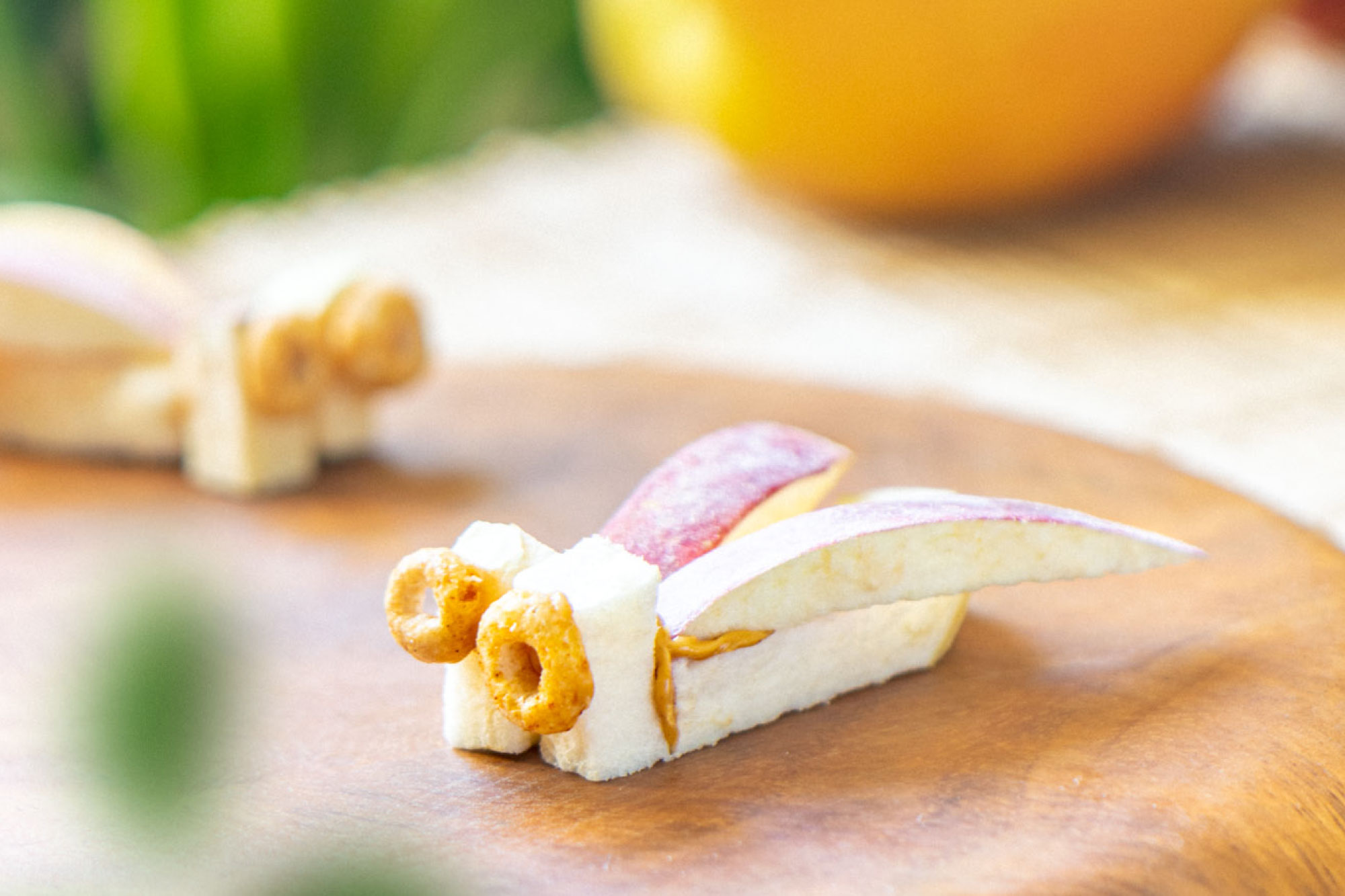 About - Origo Foods: Freeze Dry Fruits, Vancouver BC