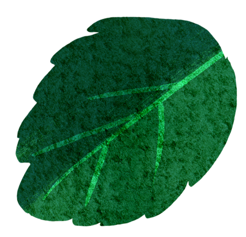 Origo Foods: Freeze Dry Fruits, Vancouver BC