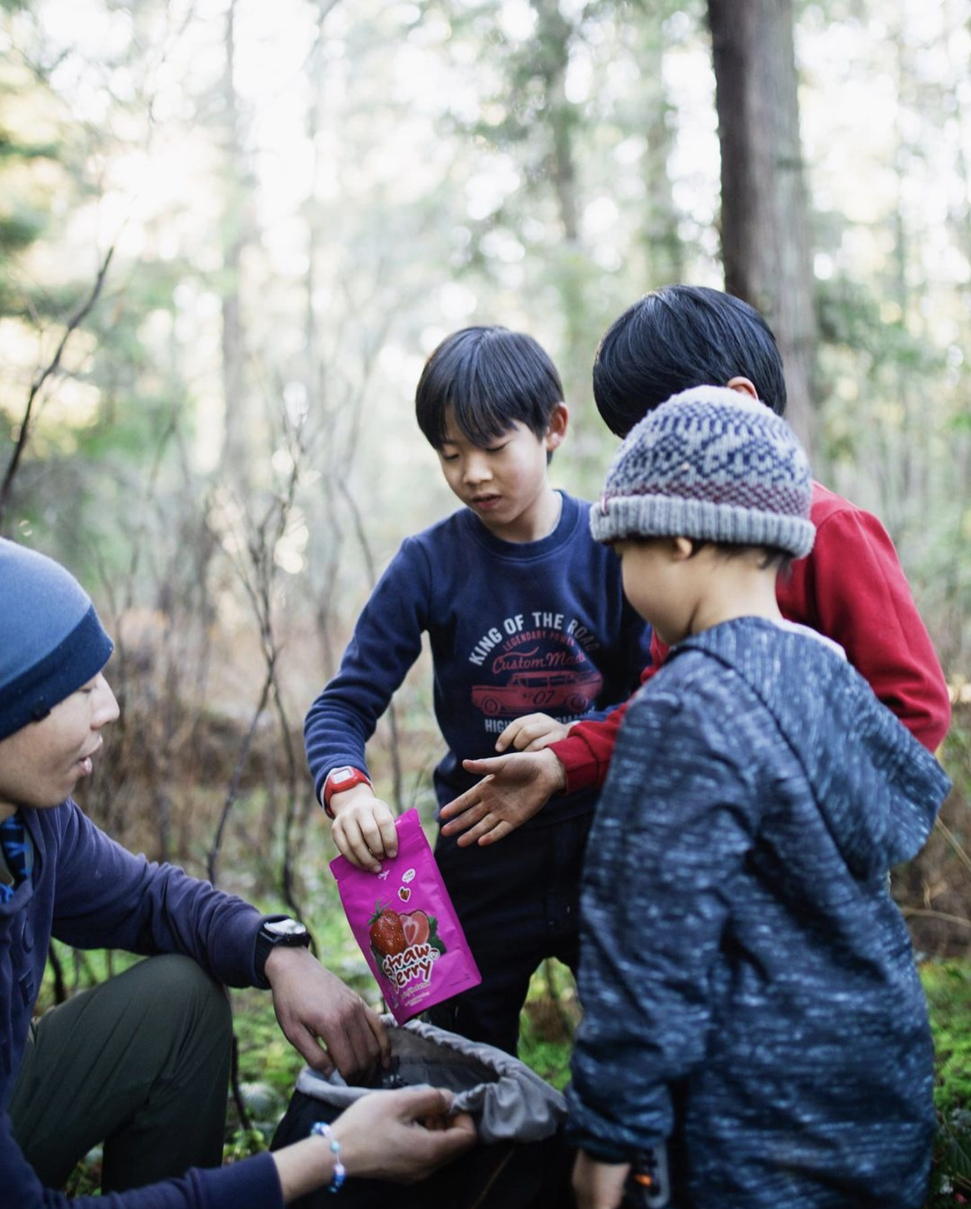 About - Origo Foods: Freeze Dry Fruits, Vancouver BC