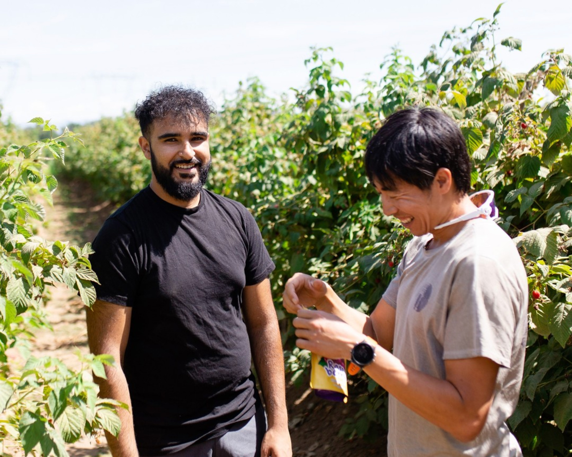 Origo Foods: Freeze Dry Fruits, Vancouver BC